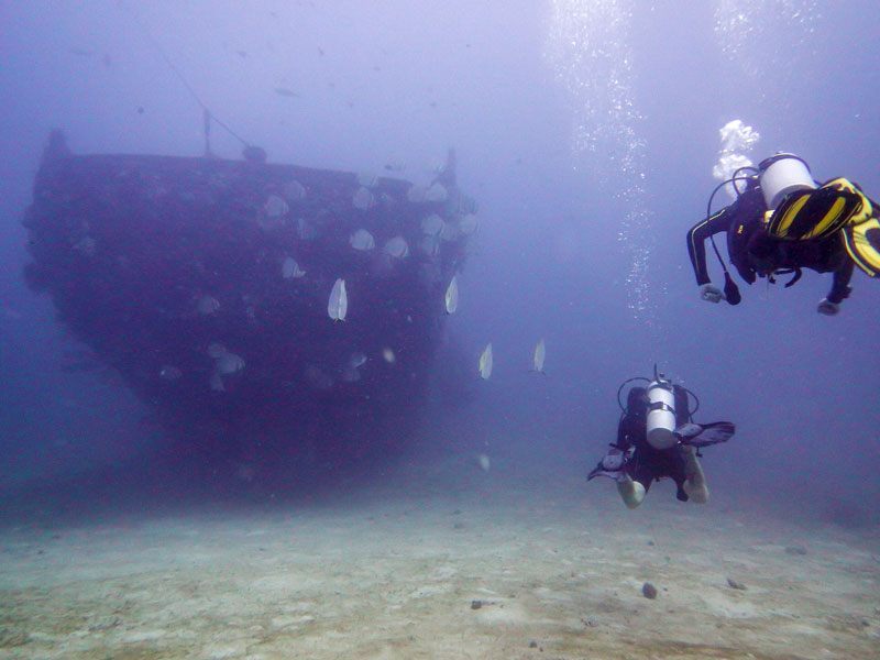 Scandi Divers Resort - Your Beachfront Paradise in Puerto Galera