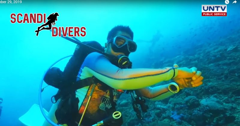 Scandi Divers Resort - Your Beachfront Paradise in Puerto Galera